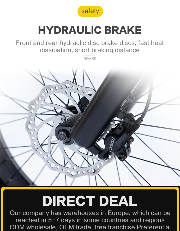 2023 Fatbike V20 Electric Fat E Bike Aluminum Upgrade Ebike 250w 750w ...