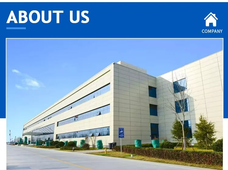 4 Seater Electric Mini Car G Wagon - 50km/h Speed