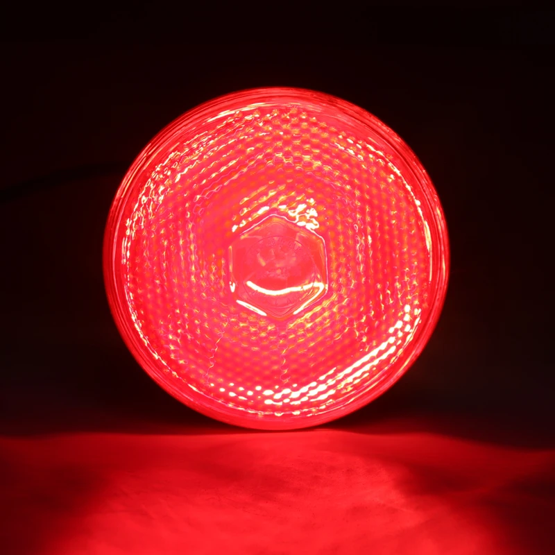 Waterproof Infrared Heat Lamp Red Pitted Breeding Bulb 100w/150w/200w ...