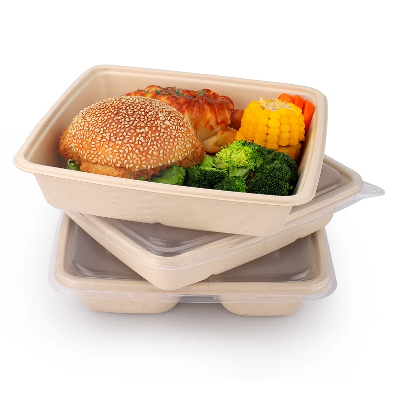 Microwave Safe Compostable Takeout Food Packaging Containers Disposable ...