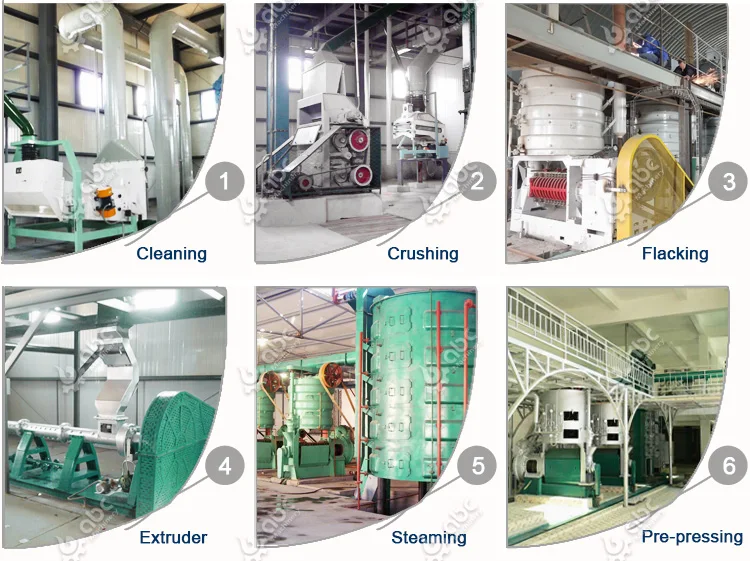 Universal Automatic Edible Sesame Castor Groundnut Corn Oil Extraction ...