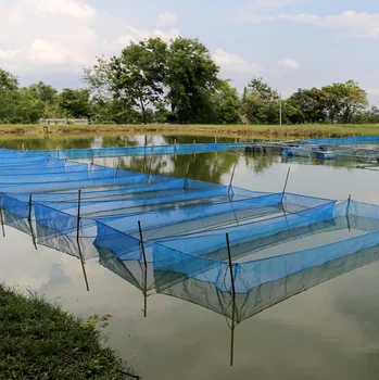 High Quality Floating Fish Farming Cages For Shrimp And Tilapia ...