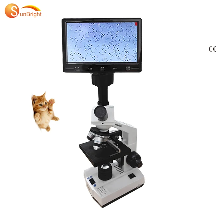 Digital Veterinary Microscope Animal Cell Observation Equipment ...
