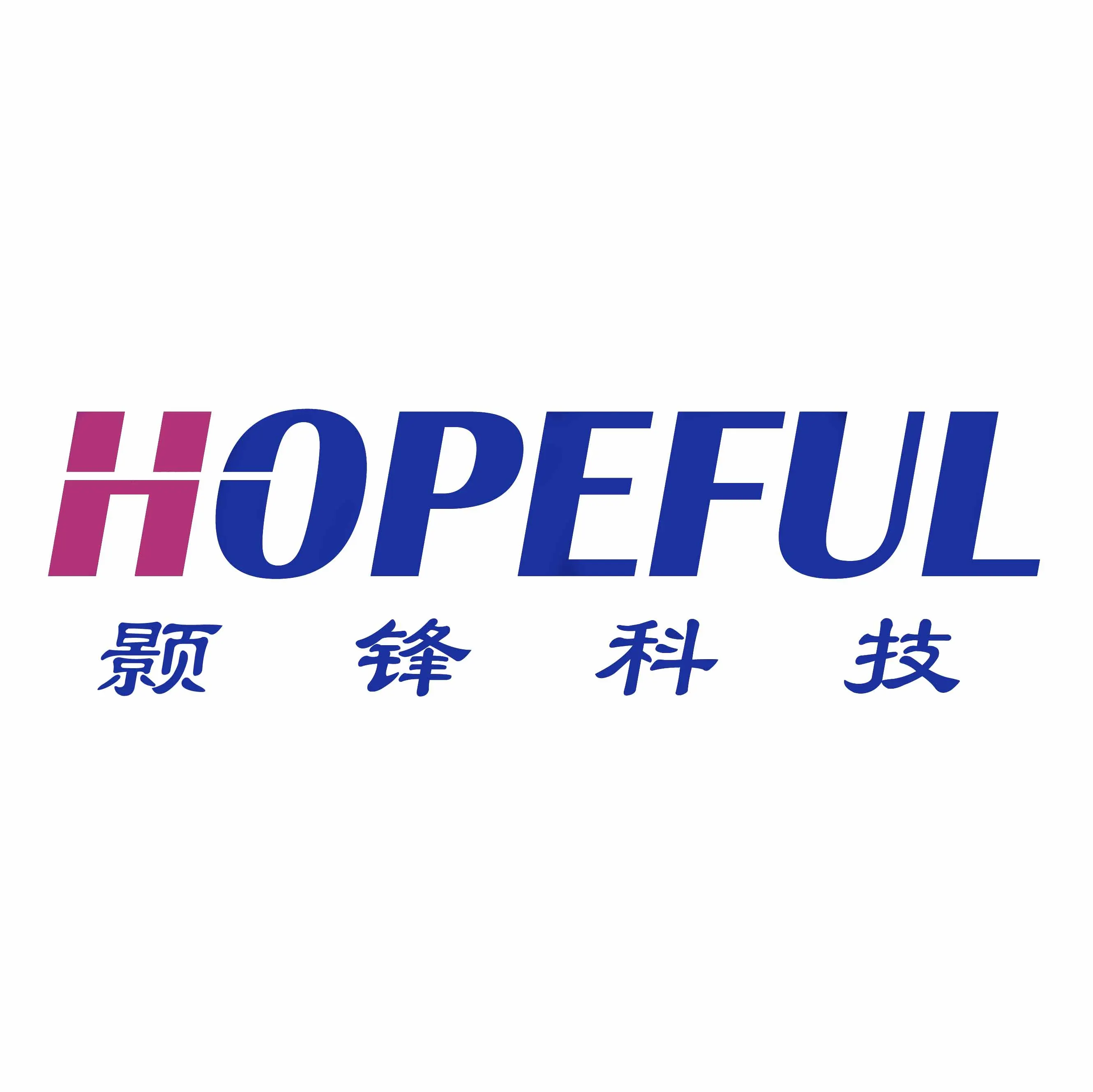 Company Overview - Hangzhou Hopeful Technology Co., Ltd.