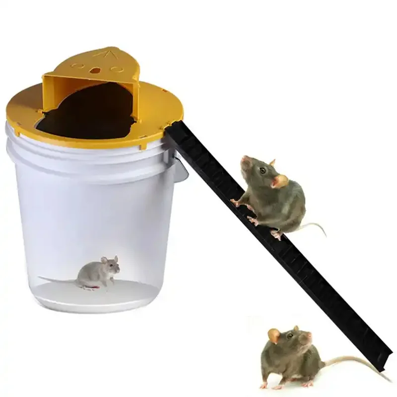 Eco-friendly Mouse Traps - Humane Rodent Control Solutions