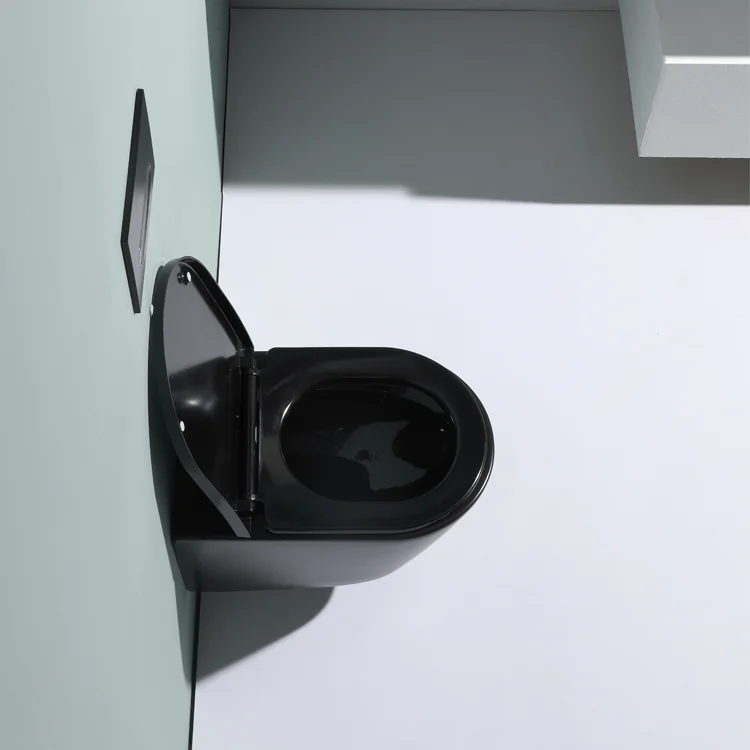 Cera Wall Hung Toilet Seat - Stylish & Functional