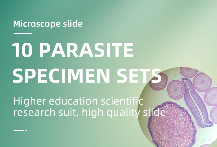 Malaria Microscope Slides for 10 Species - Educational Supply, OEM ...