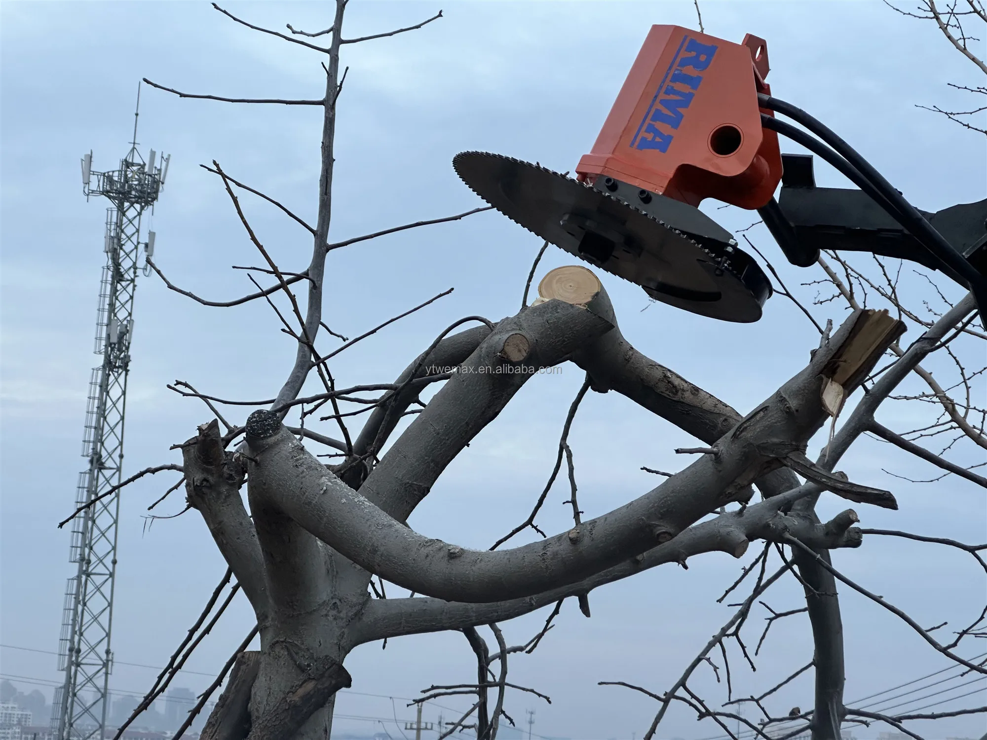 Excavator Cutting down Trees with a Circular Saw - RIMA SH600