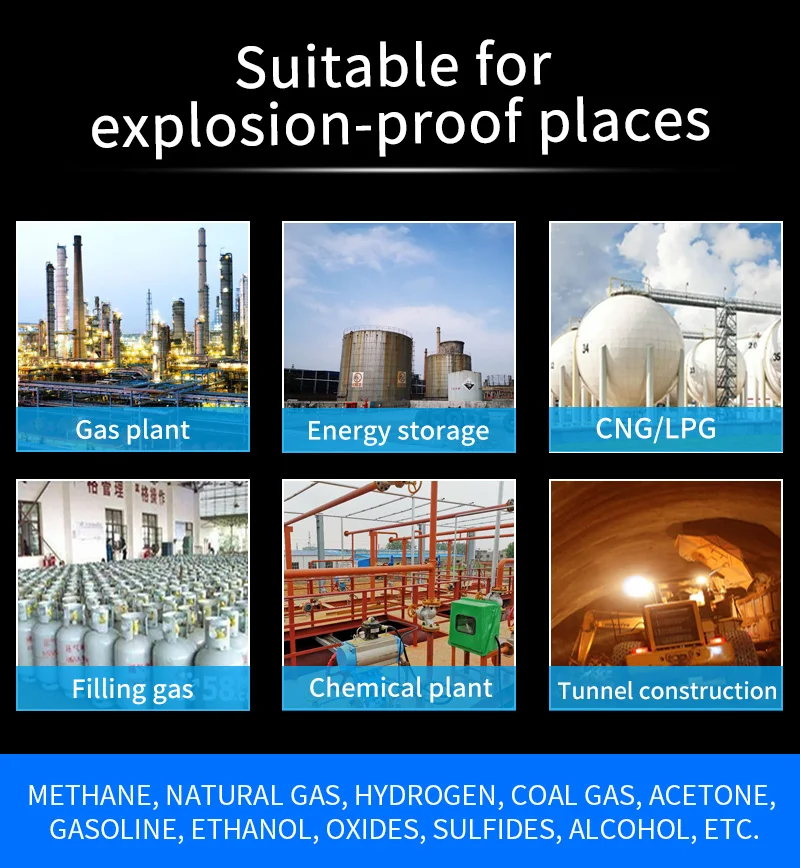 Portable Laser Sensor Methane Gas Detector - IP65 Rating