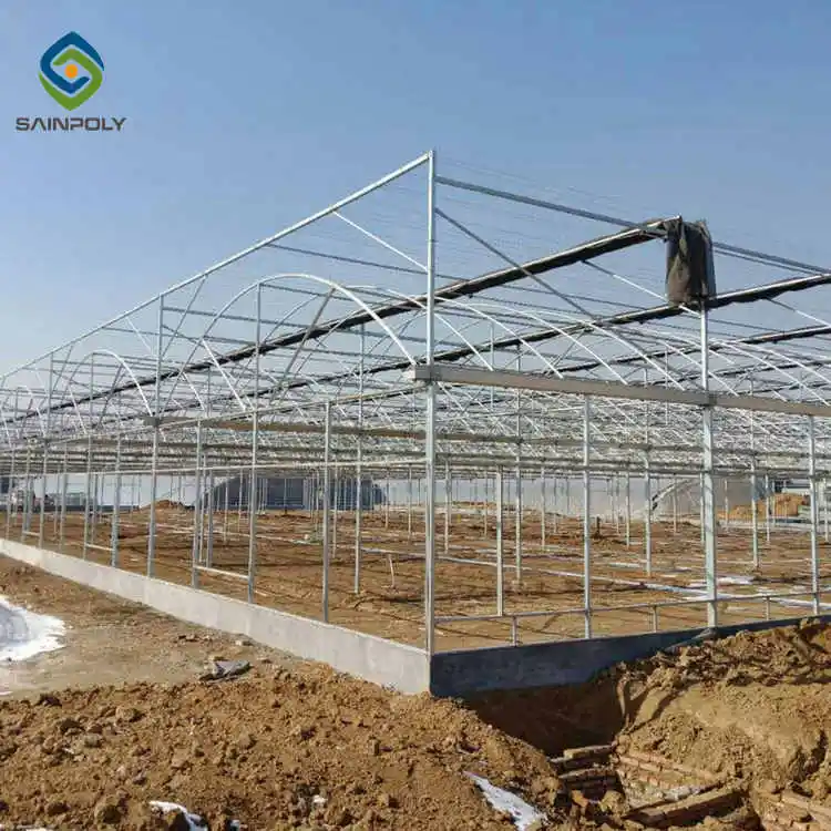 Sainpoly Tomato Greenhouse - Commercial Hydroponics Serre