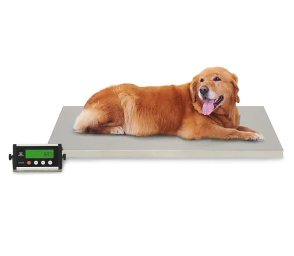 Aeolus Electronic Walk On Scale For Patient - Buy Dog Scale,Walk On ...