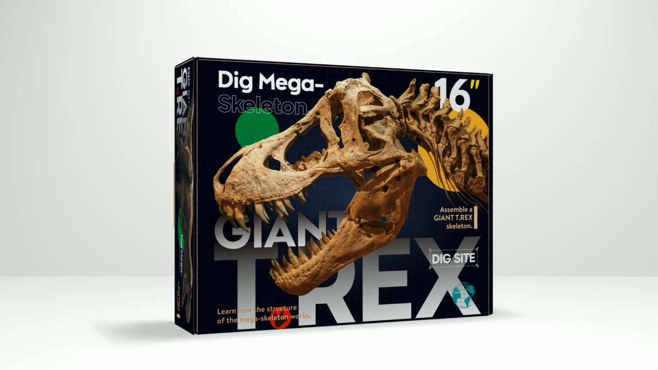 Eco Friendly Educational Science Toys Craft Collectable Toy Kid ...