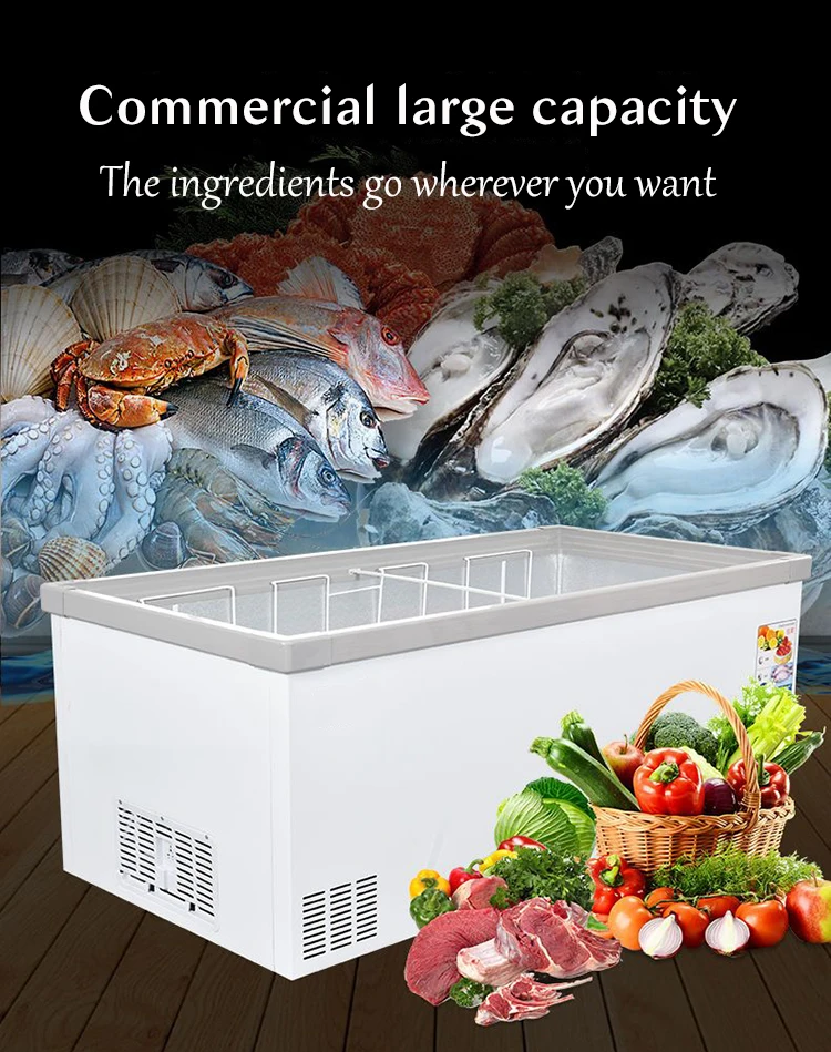 Rebirth Refrigerator Deep Freezer Display Cooler Fish Display Freezer ...
