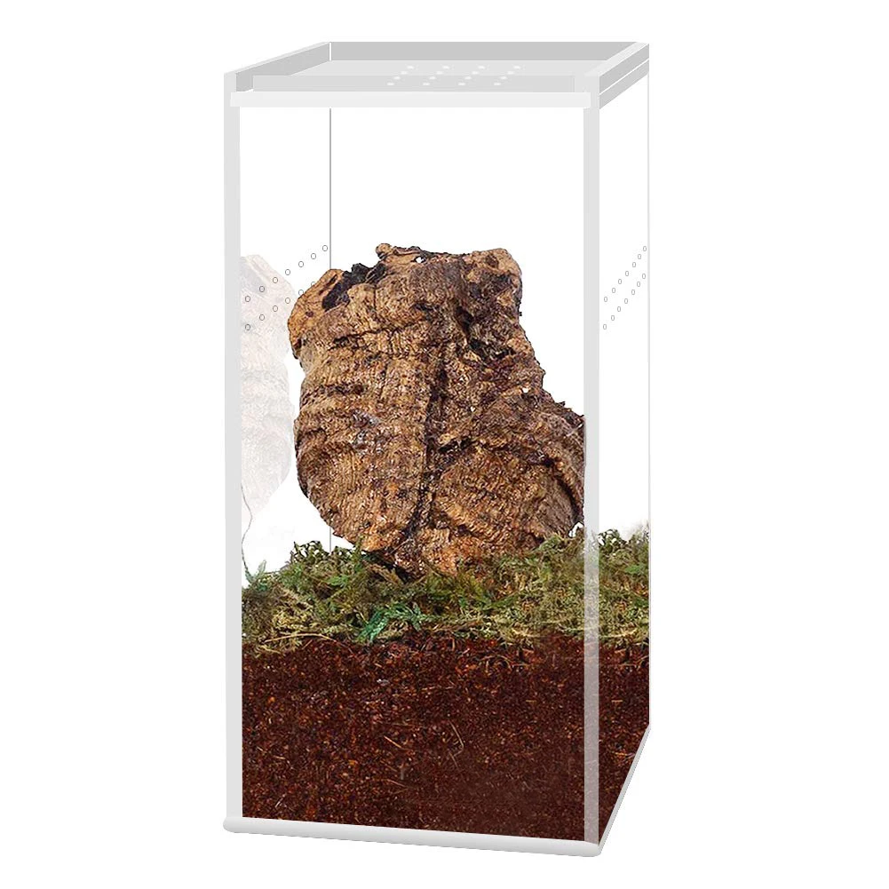 Stackable Reptile Cages - Transparent Plastic Enclosures