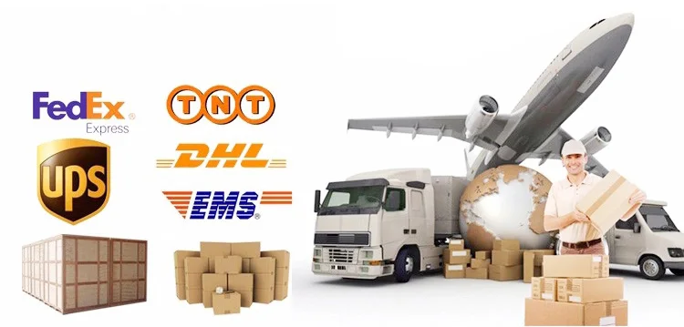 Laboratory Plastic Slides Trays For 10pieces Slide Storage Cardboard ...