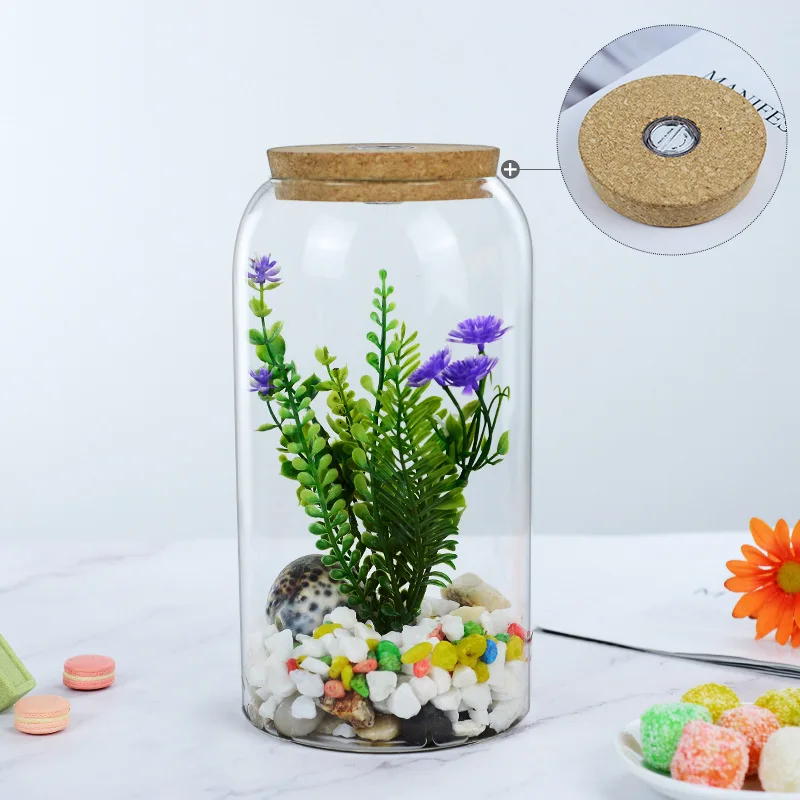 Domestic Decorative Glass Plant Terrarium With Lid Hydroponic Plant Eco ...