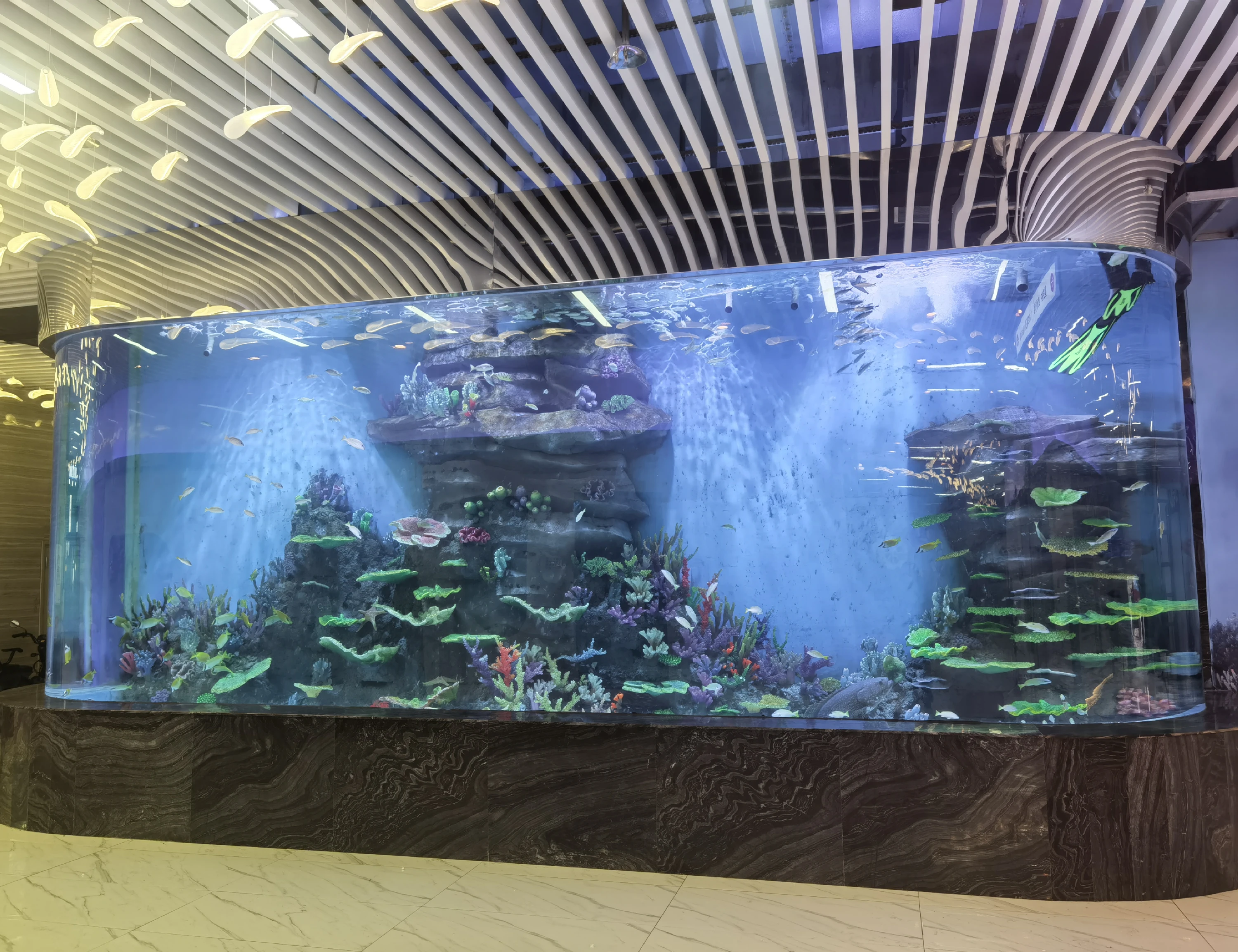 10000 Gallon Fish Tank