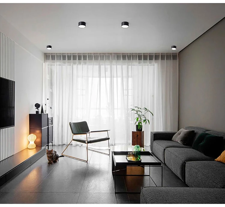 Modern Surface Mounted LED Downlights for Efficient Lighting