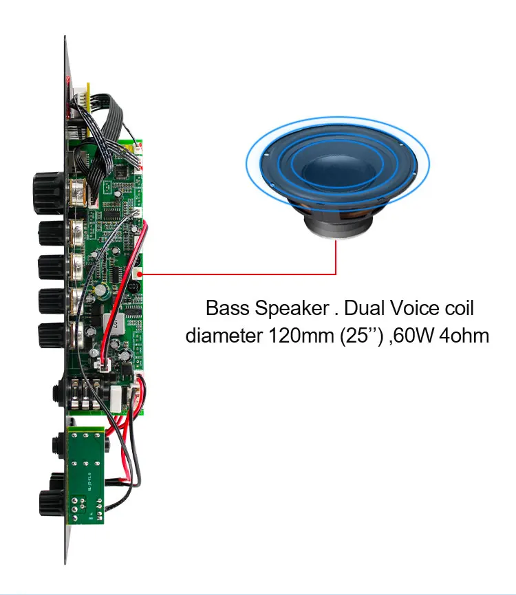 VIRE Audio Amp Module - 60W Subwoofer with Bluetooth