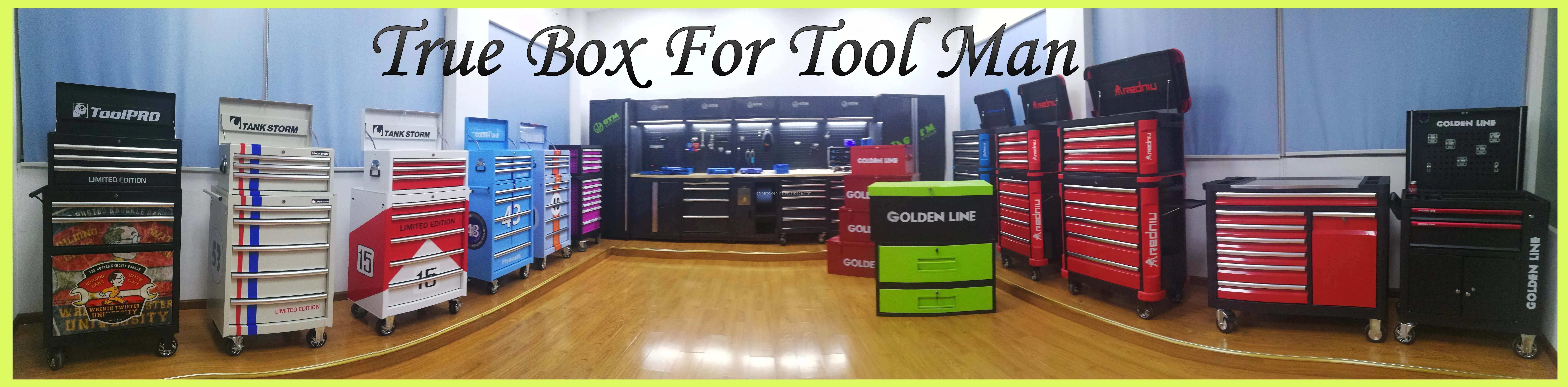 Removable Heavy Duty Tool Cabinet - Steel Toolbox with Casters