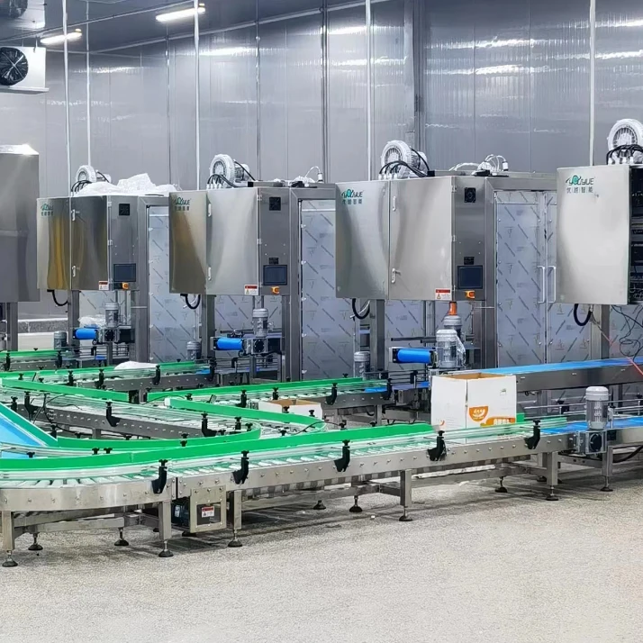 Best Selling Durable Using Robotic Packaging Equipment Parallel Robot ...