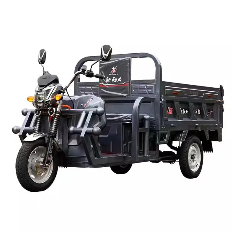 Cargo Tricycle E-loader 3 Wheeler 2000w Motor 60v32ah 60v45ah Lead Acid ...