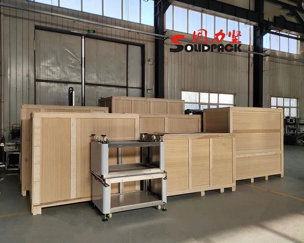 Solidpack 100-1000ml Full Line Paste 12 Nozzle Automatic Linear Gravity ...