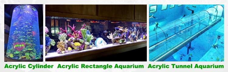 Custom Cast Clear Acrylic Swimming Pool - 30 Year Warranty