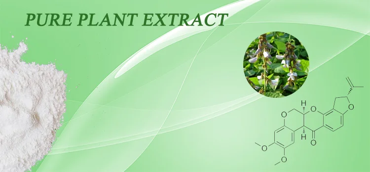 ISO Factory Derris Root Extract Rotenone Powder 40%