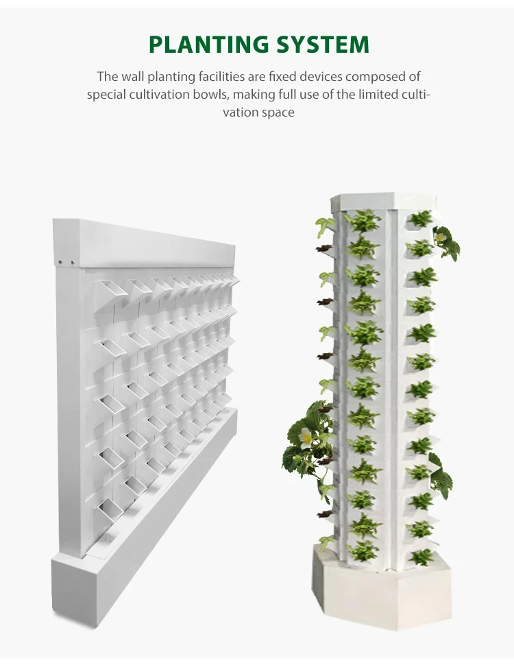 Indoor Plants Farming System Hydroponics Vertical Wall Vegetable ...