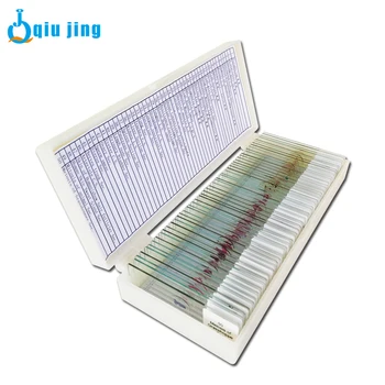 Hot Sale Fixed 50 Pieces Common Bacteria Prepared Microscope ...