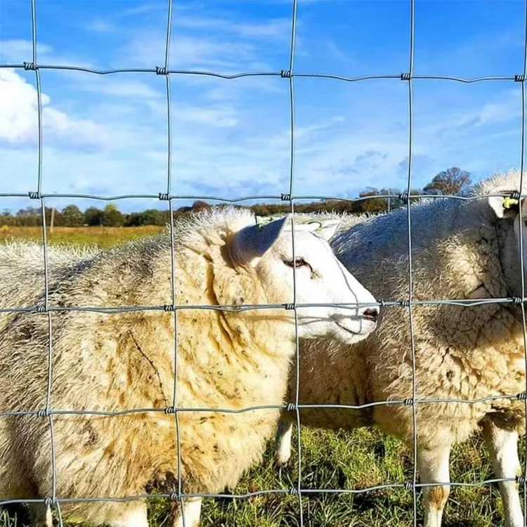 Fixed Knot Woven Wire Field Fence Roll Goat Hog Fencing Wire Mesh ...