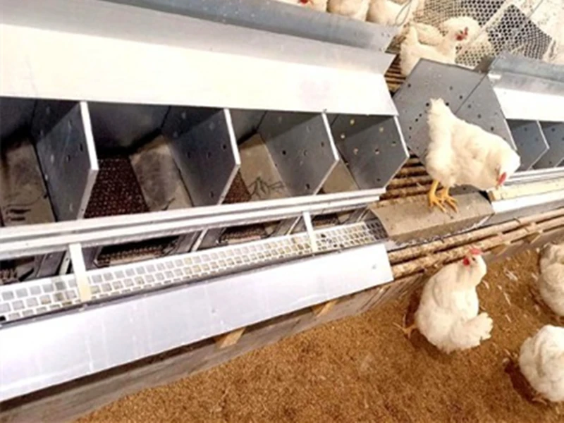 Zumoi Layer Breeder Farm Automatic Nest Box System With Egg Automatic ...
