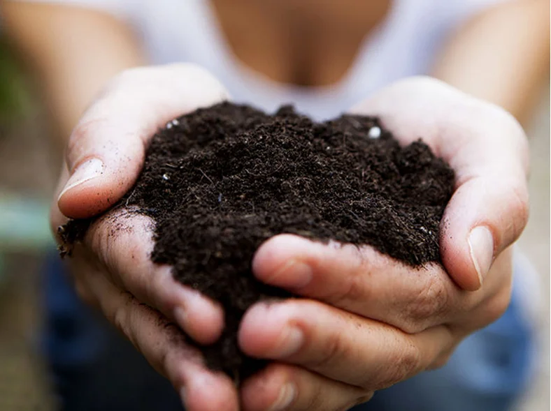 Aquarium Landscaping with Water Grass Mud Fish Tank Substrate