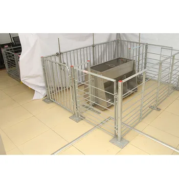 Gestation Stalls Crate Piggery Farming Product Pig Gestation Gestation ...