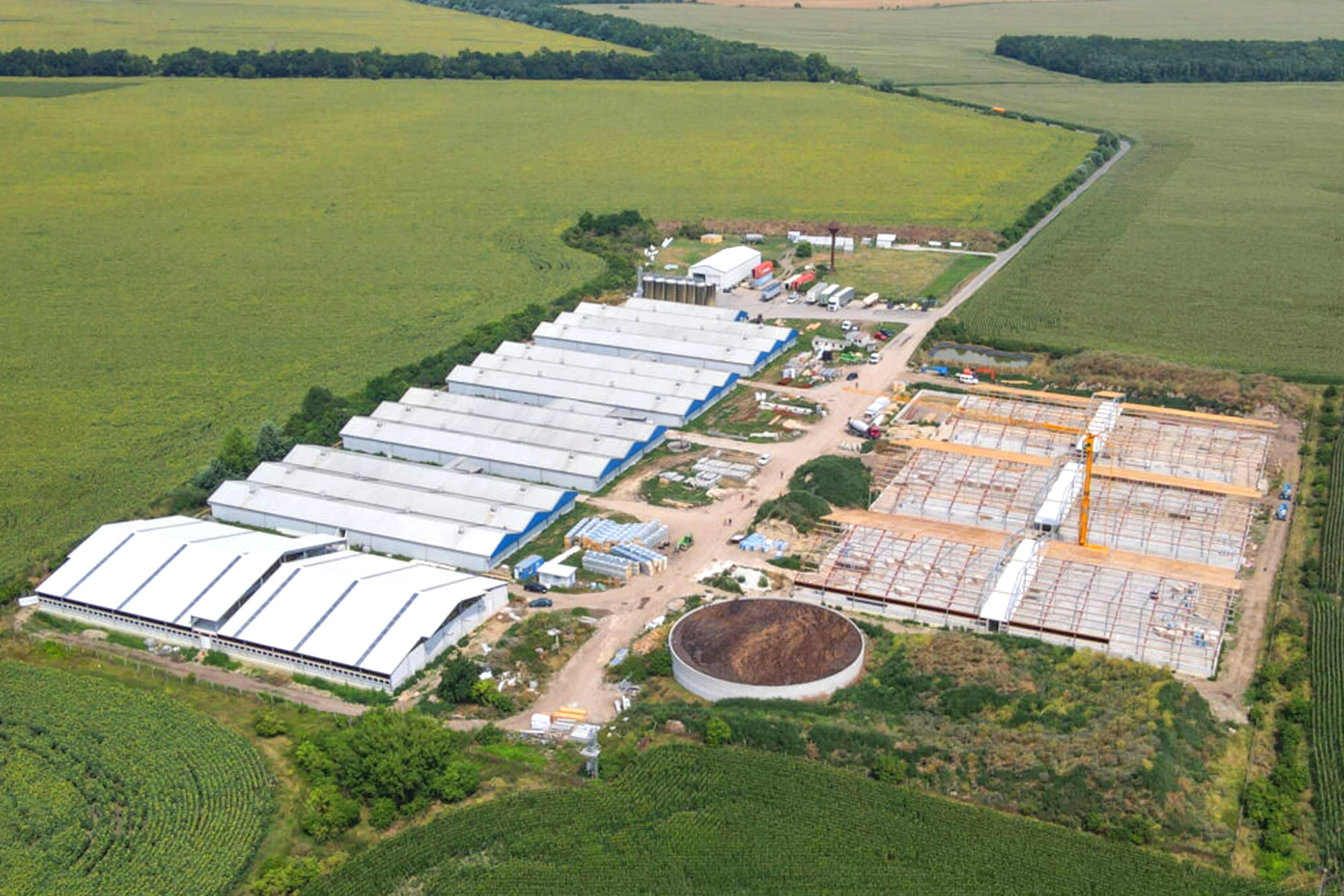 Modern Design Steel Structure Cow Cattle Dairy Milking Farm Shed ...
