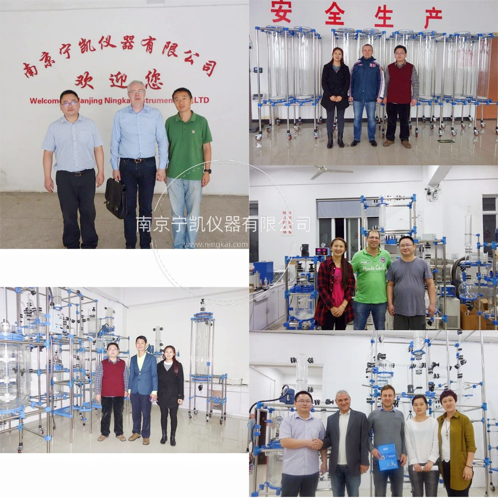 Xinchen Lab Equipment Chemical Reactor Crystallization Reactor - Buy ...
