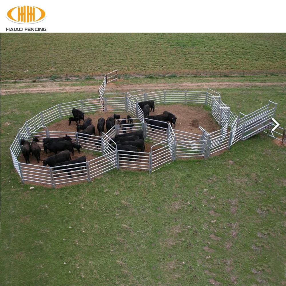 Heavy Duty Galvanized Portable Livestock Equipment - Cattle Loading Ramp