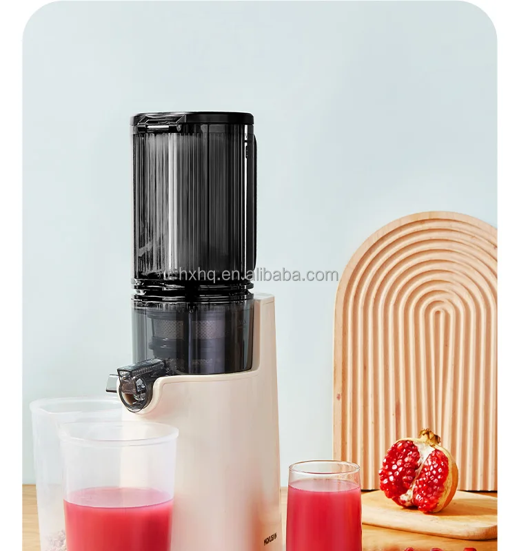 250w Business Cold Press Juicer Multi-Function Fruit Juicer With Home ...
