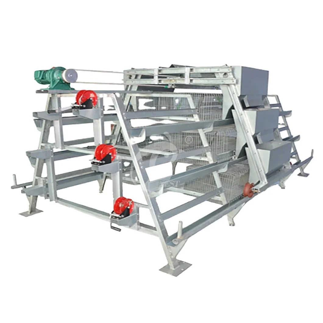 China Fox Proof Pullet Chicken Coop A Type Automatic Pullet Cage ...