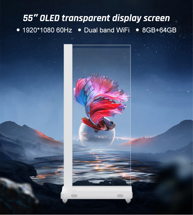 Vtex 55 Inch Smart Indoor Outdoor Transparent Screen Oled Clear Touch ...