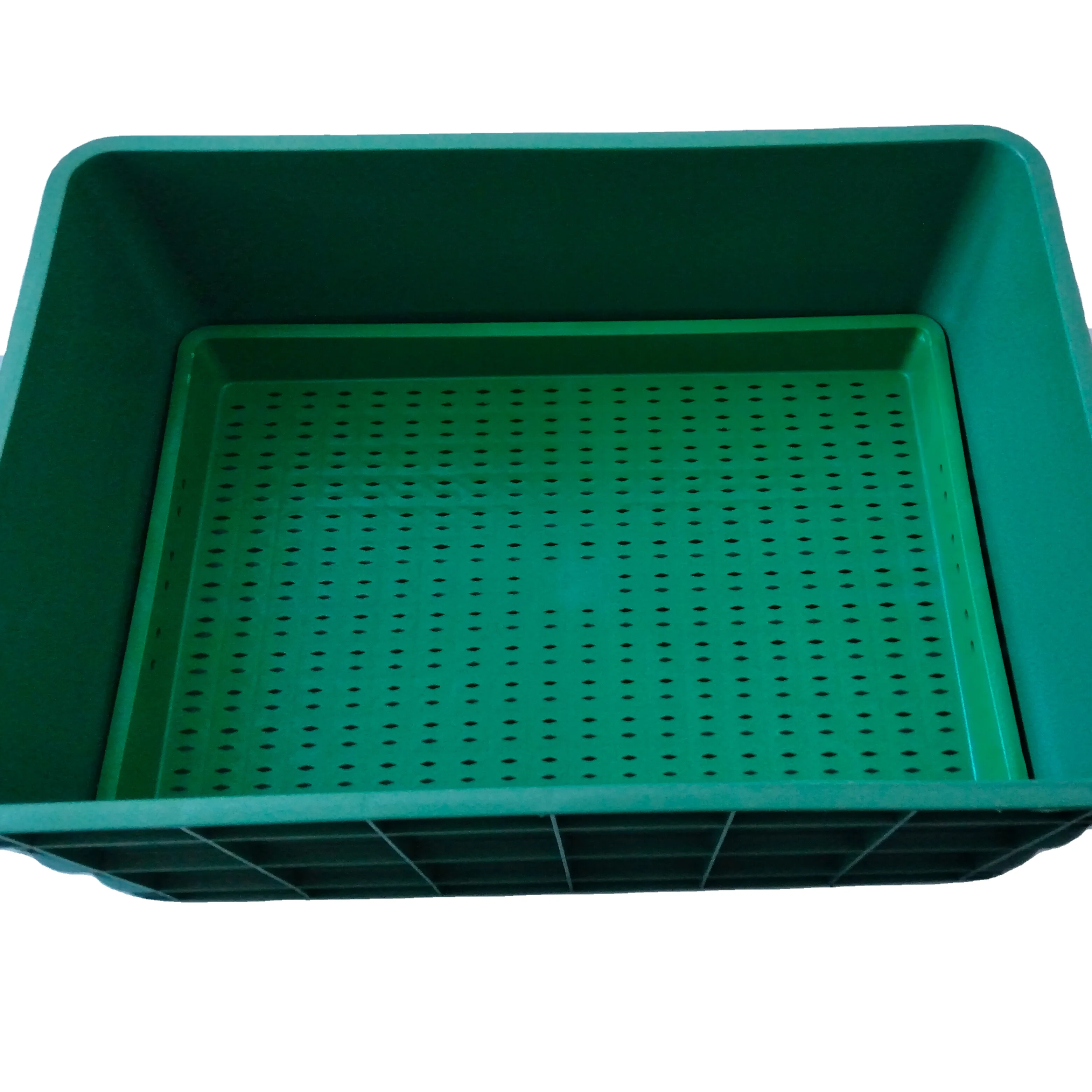 High Quality Clear Pet Plastic Seeding Box With Hole - Buy Seeding Box ...
