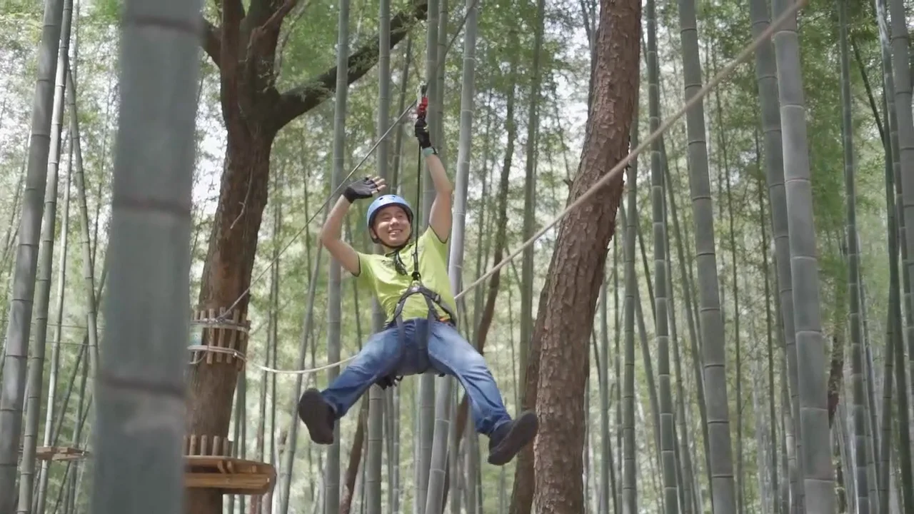 Outdoor Tree Trekking Rope Challenge Course Adventure Tree Park ...