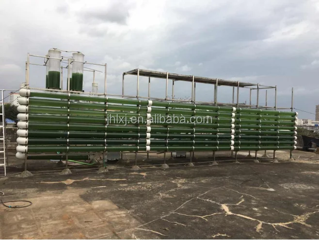 Algae Cultivation Pipeline Photobioreactor - Automatic & Efficient