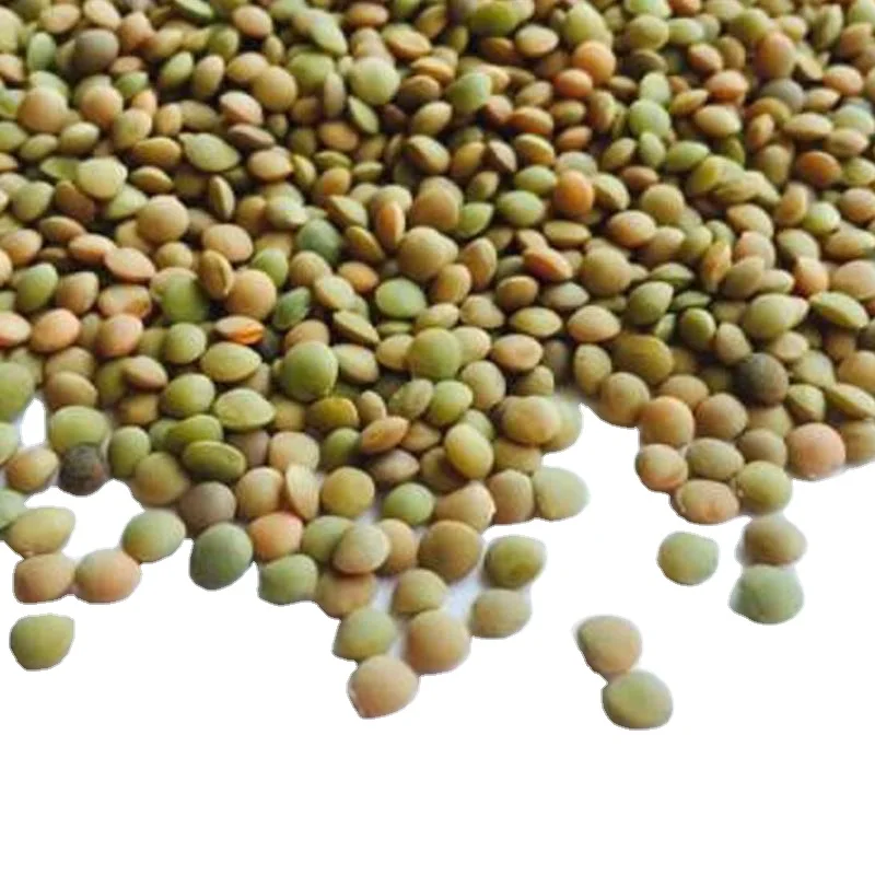 Alibaba.com: 2024 New Crop Whole Split Dried Lentils Red Green Yellow ...