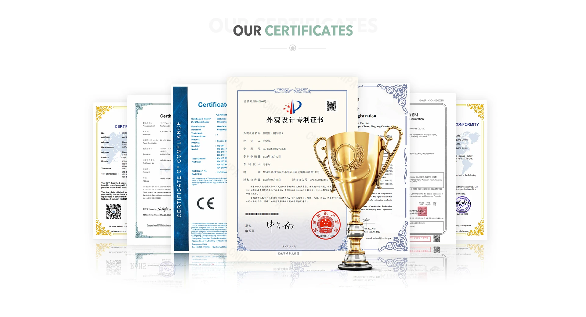 Company Overview - Wenzhou Haobang Health Technology Co., Ltd.