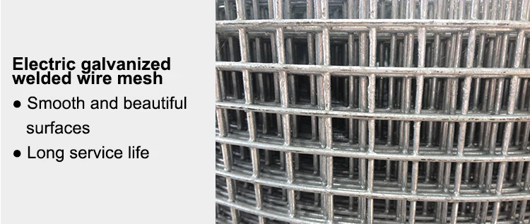 Stainless Steel Welded Wire Mesh for Protective Fencing