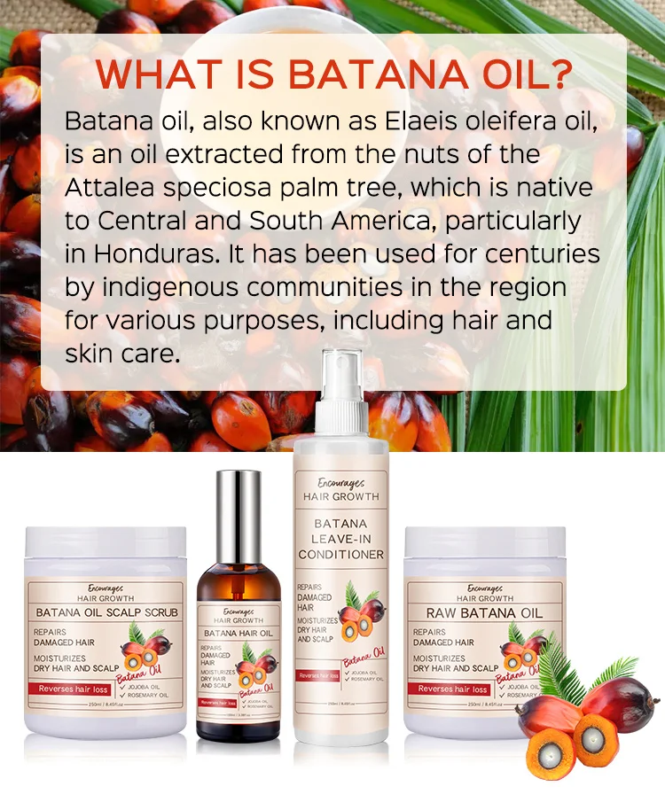 Custom Natural Batana Hair Oil Hair Care Set/scalp Scrub /leave-in ...