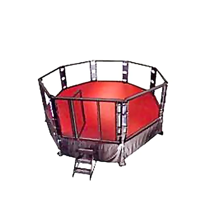 Professional Boxing Ring/international Standard Boxing Equipment For ...