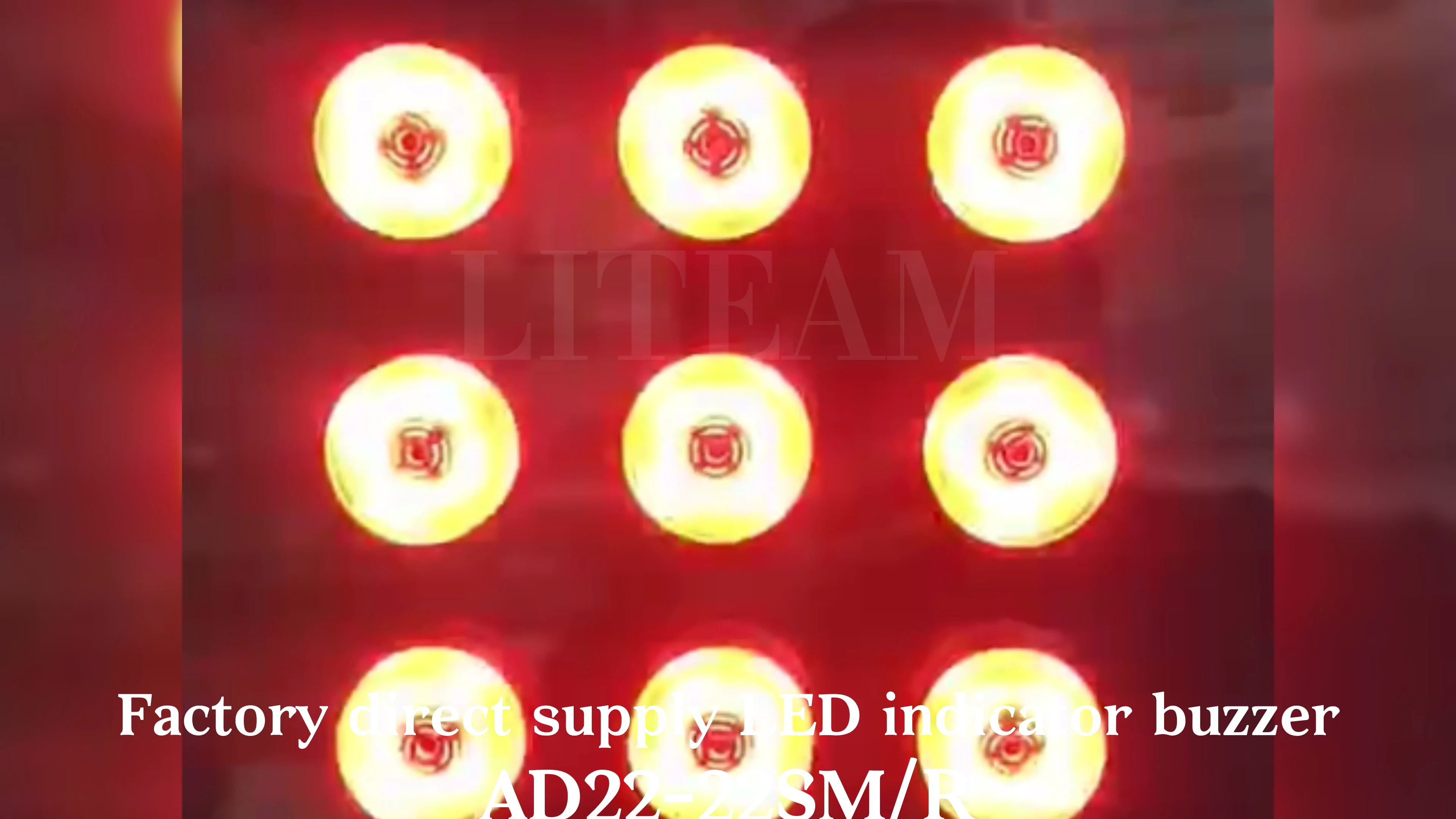 16mm Ad22-22sm/r Ac/dc 24v Indicator Buzzer 22mm 220v Ac Led Flashing ...